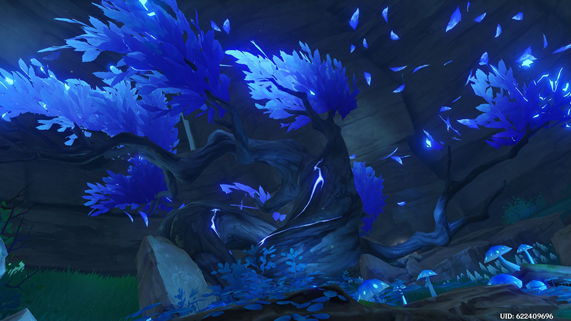 Genshin Impact Where To Find Your Way Through The Mist And Make An 