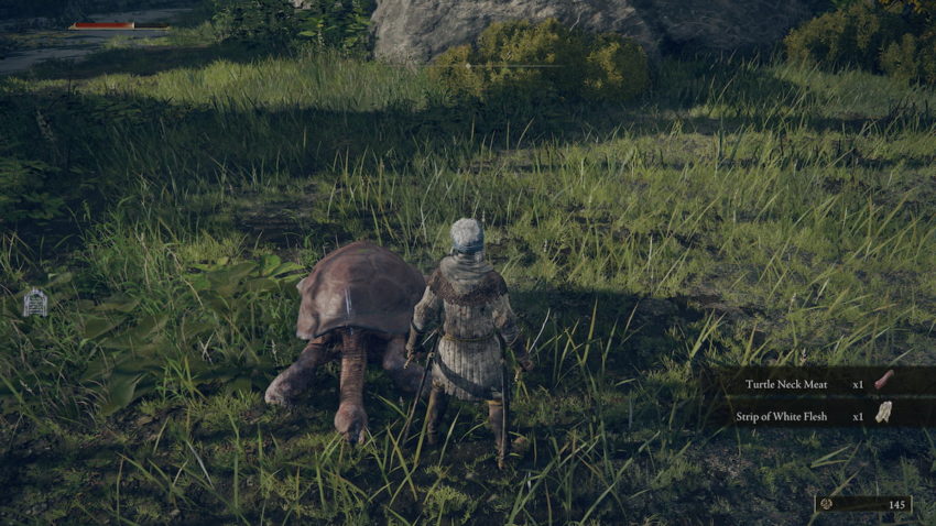 Elden Ring How To Find Turtle Neck Meat